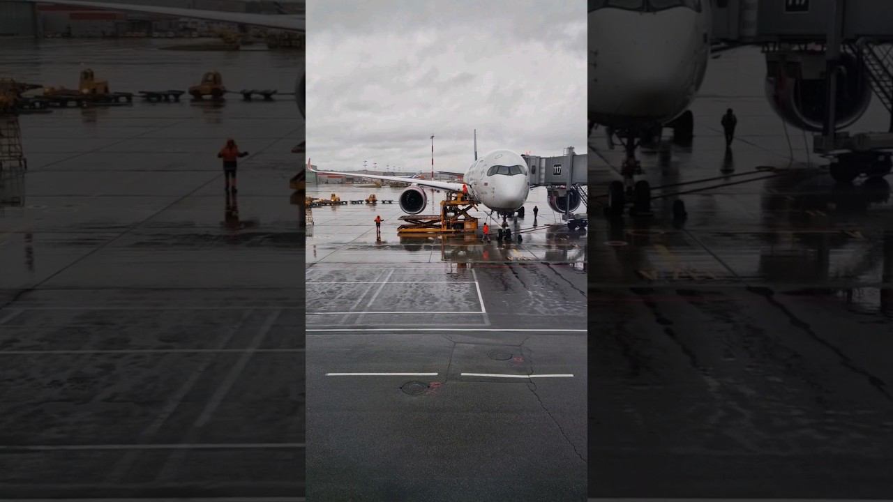 #жизньвовремяпутешествий#шереметьево2023