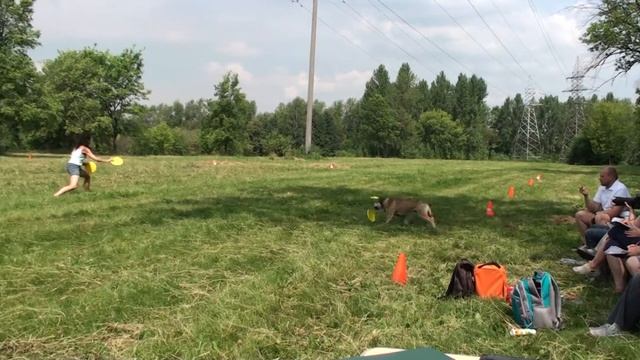 Кубок Клуба. Ольга и Барс..mp4