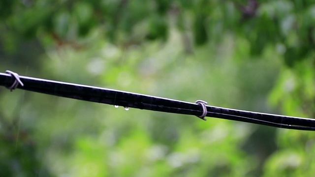 #дождик #вайб #последождя #vibe