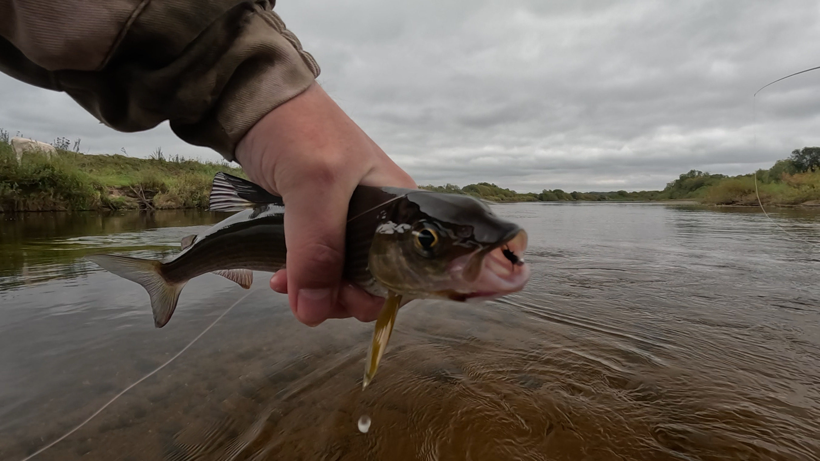 В ПЕРЕКАТЕ ЕСТЬ ХАРИУС НО КРУПНЯК В ПЛЁСО