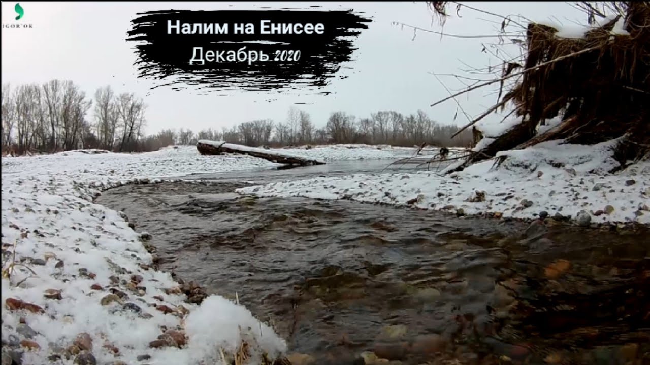 Енисей. Налим в декабре. Неплохой улов..mp4