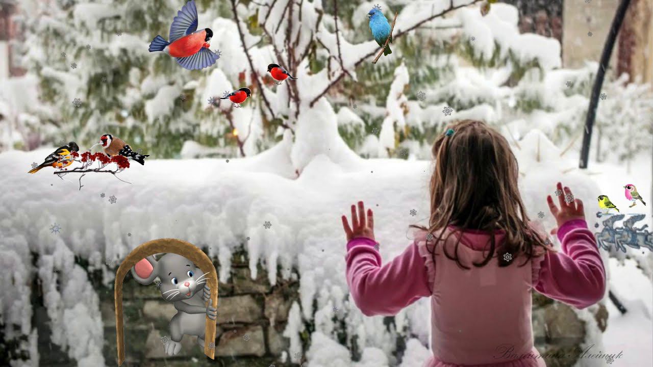 Футажик. Снегири. Зима.