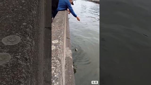 Калининград 2019