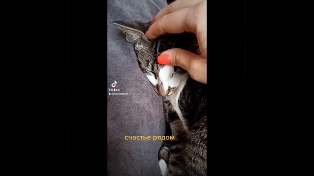 Моё счастье (есть ещё два пушистика))