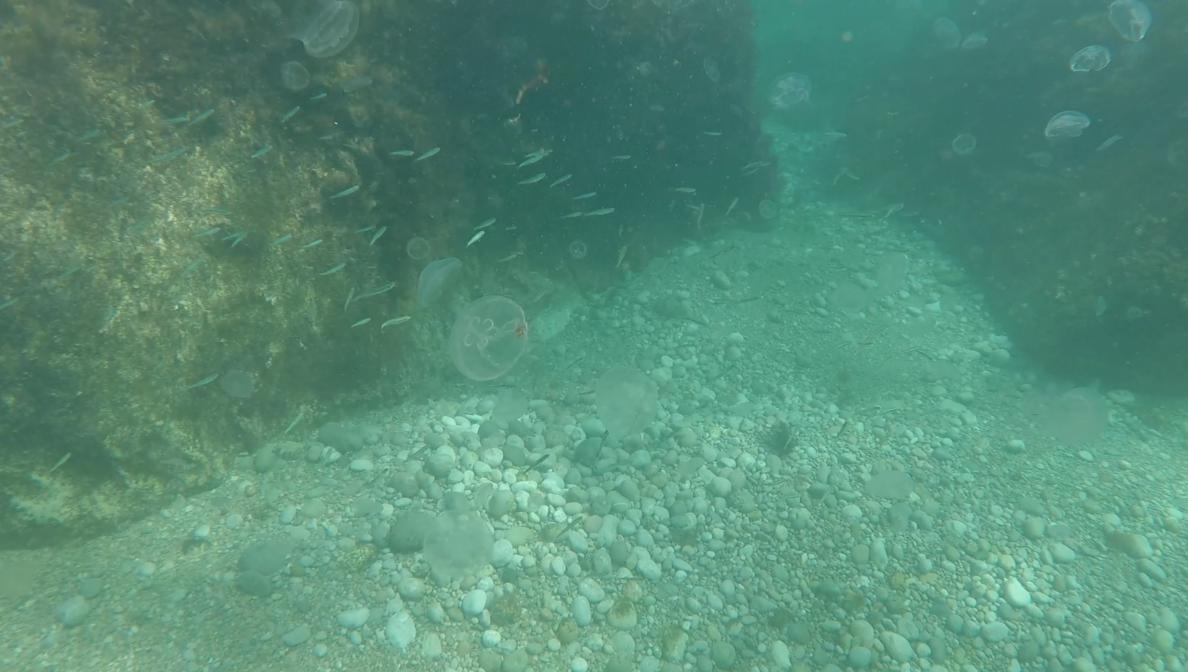 Мыс Аякс шторм, медузы, скалы. 15.10.2023