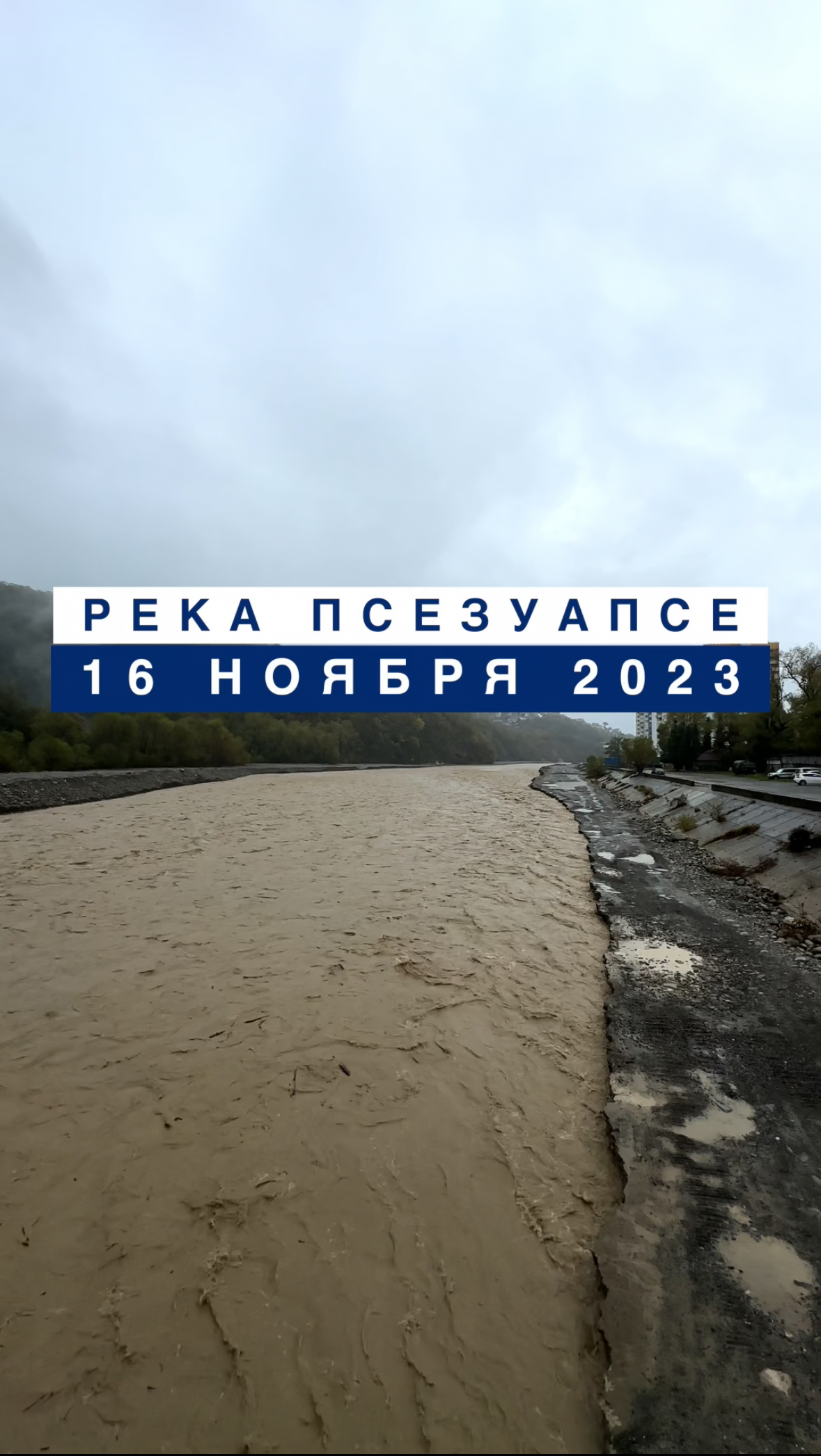 Уровень воды в реке Псезуапсе в Лазаревском на данный момент - 2023.11.16 #лазаревское #псезуапсе