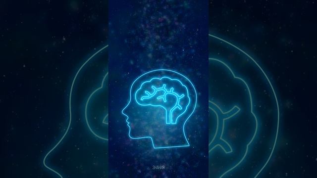 Аффирмация - "ЗНАНИЕ"