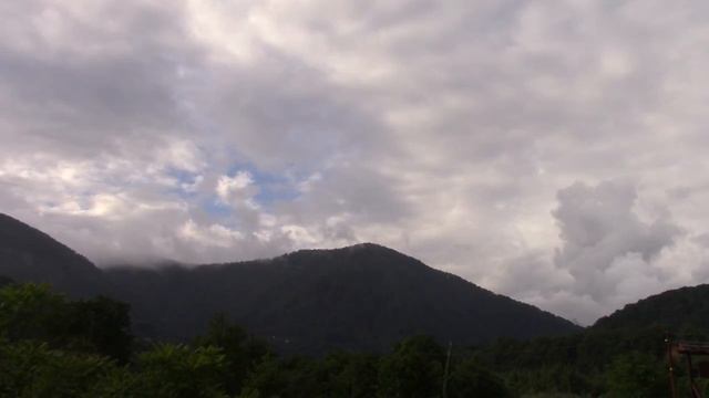 2017_06_20_ПОСЛЕ ДОЖДЯ_ПЛАСТУНКА_СОЧИ.mp4