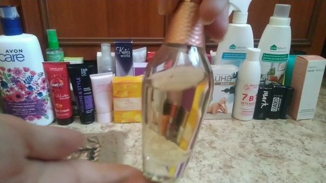 Project Pan на 2024г