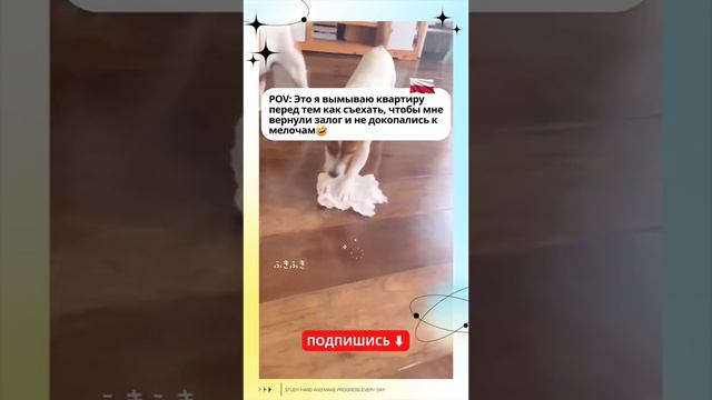 Знакомо? 🤓