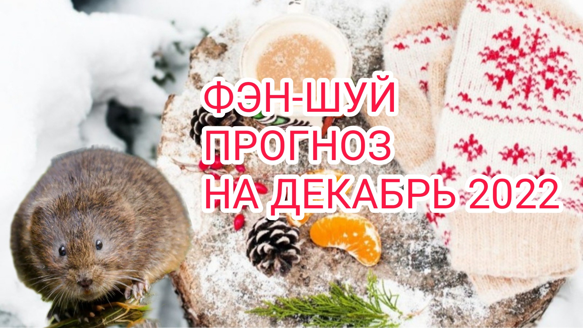 Фэн-шуй прогноз на декабрь 2022 || Месяц Водяной Крысы#10