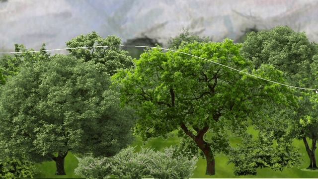 Программа для мультфильмов