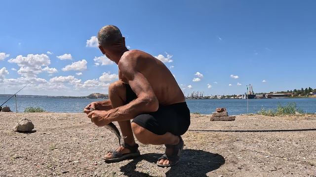 Лобань на бывшем рыбколхозе