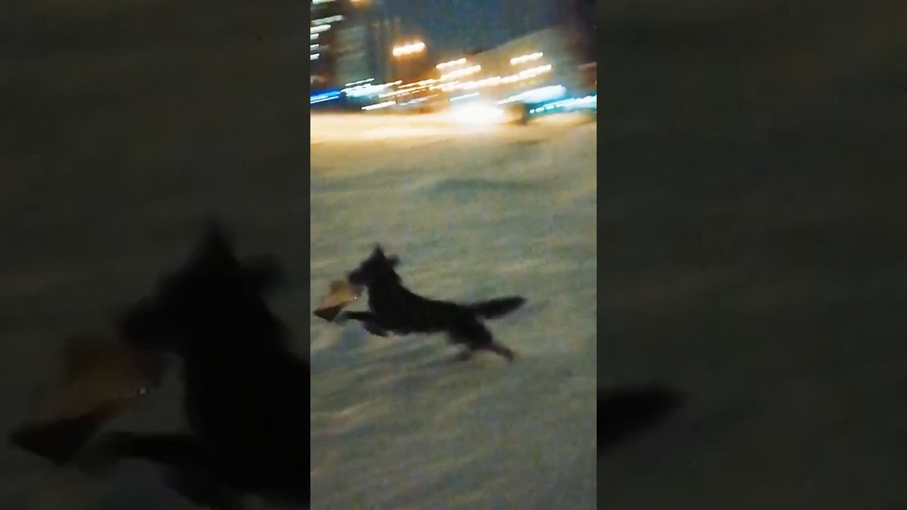 Катаемся с горки😂😂😂👍