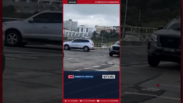 Пасынок главкома ВСУ Сырского, возглавил автопробег в Сиднее в честь Дня Побед   #победа  #сво #всу