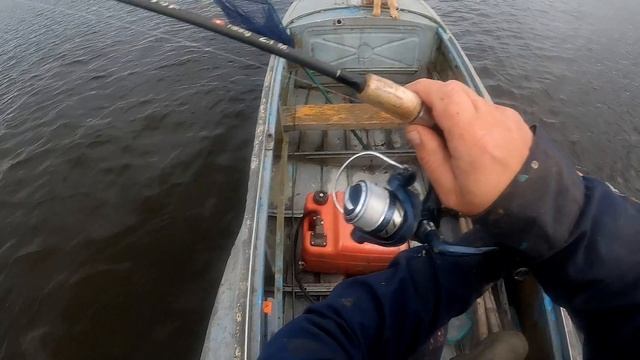 Летняя рыбалка на окуня июнь 23