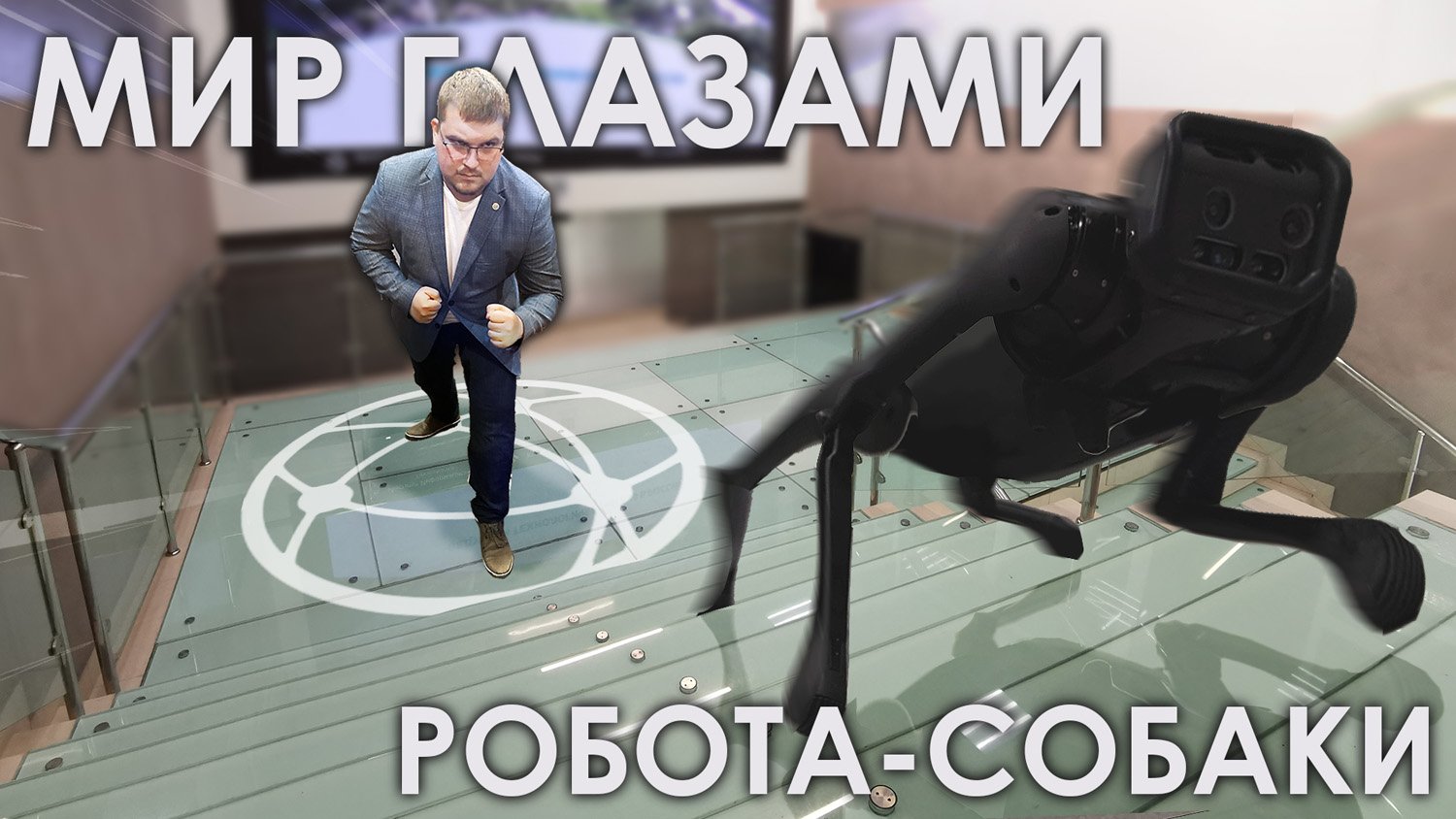 Мир глазами робота собаки | Ответственно PRO ИТ