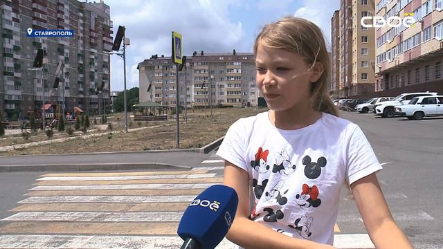 Зебра стала решением проблемы жителей Ставрополя