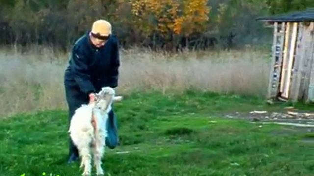 Задира Егор - Bully Egor