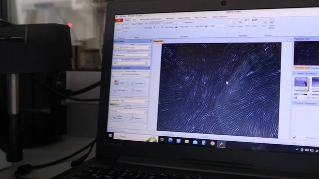 День открытых дверей 2024