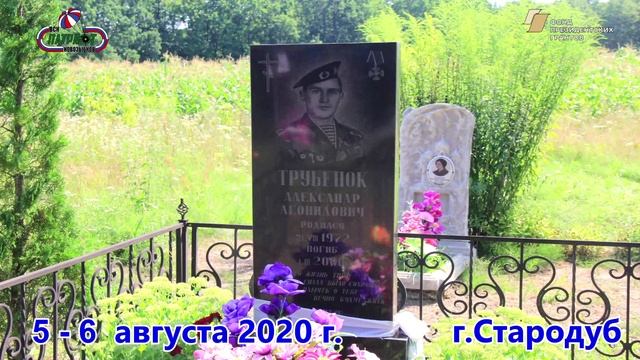 С неба в бой