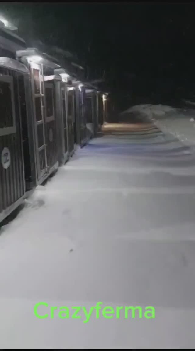 Выращиваем бройлерных цыплят без забот в модулях от Крейзиферма #курятник #ферма #shorts #