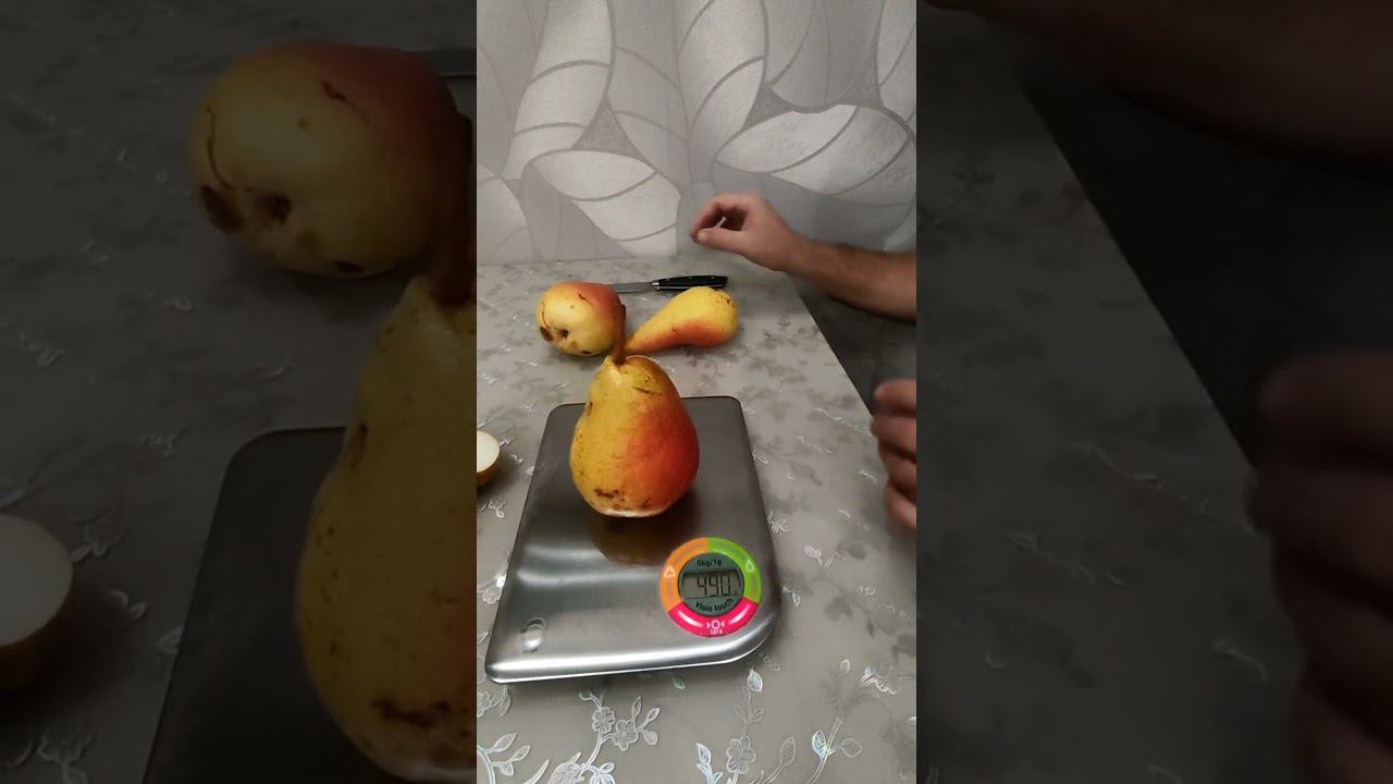 Аббат Фетель и Дельбарью после двух недель хранения.