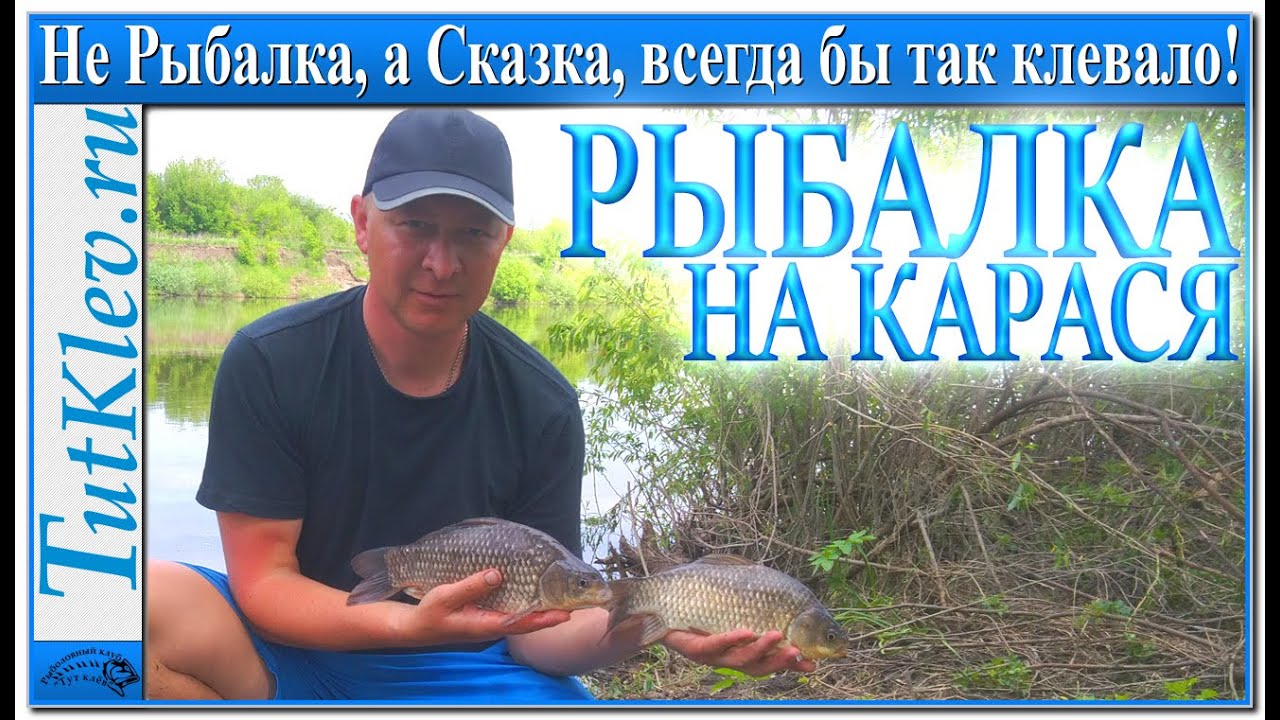 Рыбалка на Карася! Фидерная Рыбалка в мае на Дону.mp4