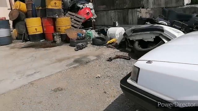 Аборигенка. Хотим крабов. Один день из нашей жизни. Из деревни в город. Жизнь в глубинке. № 3