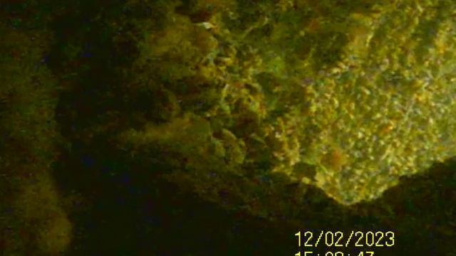 YouCut_20231202_162406113.mp4