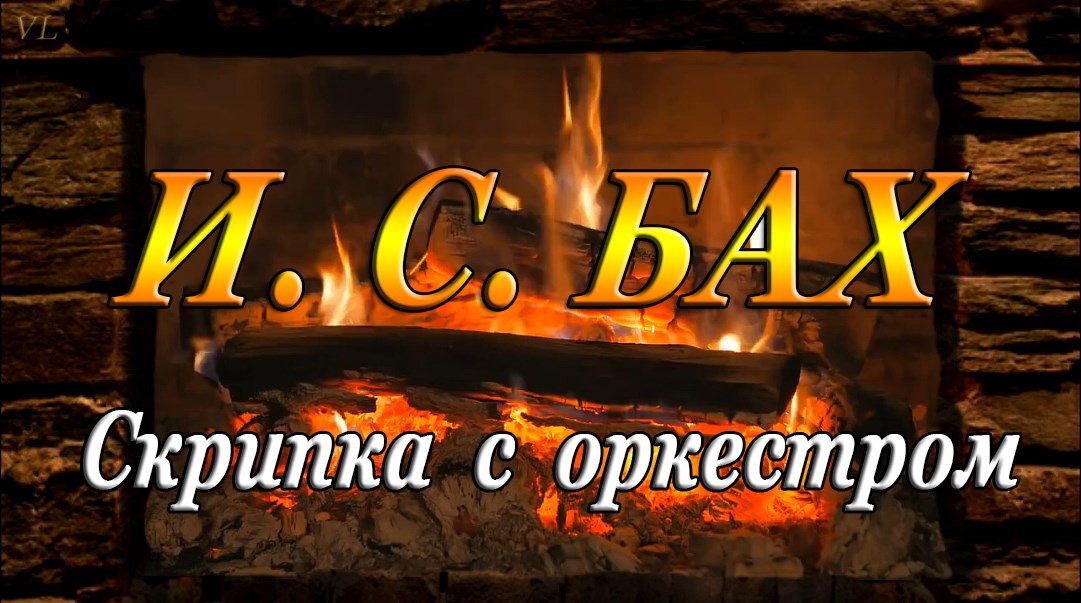 БАХ | Скрипка с оркестром