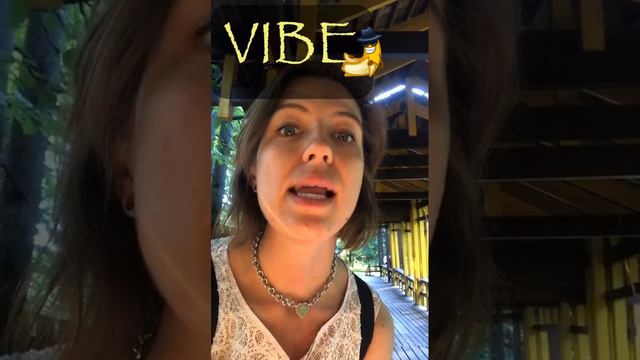 Что такое VIBE? #slang #vibe #вайб #voxpopuli_courses