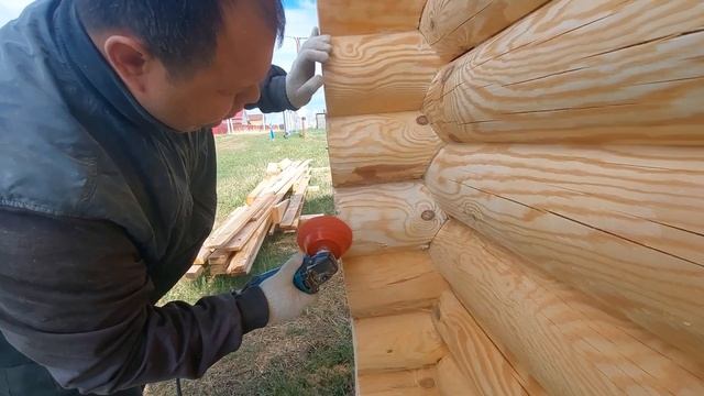 Шлифовка бревна! Быстро! Экономно! Своими руками! Часть 2