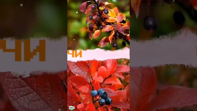 Радости, удачи, счастья!