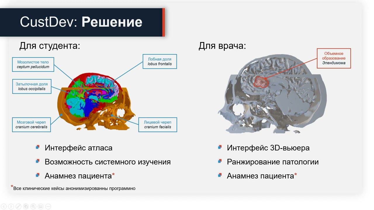 Атлас персональной анатомии SkiaAtlas - Щеглов Б.О. для Молодежной премии
