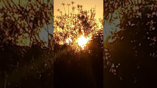 Рыбалка 22 мая, Печерская Лужа