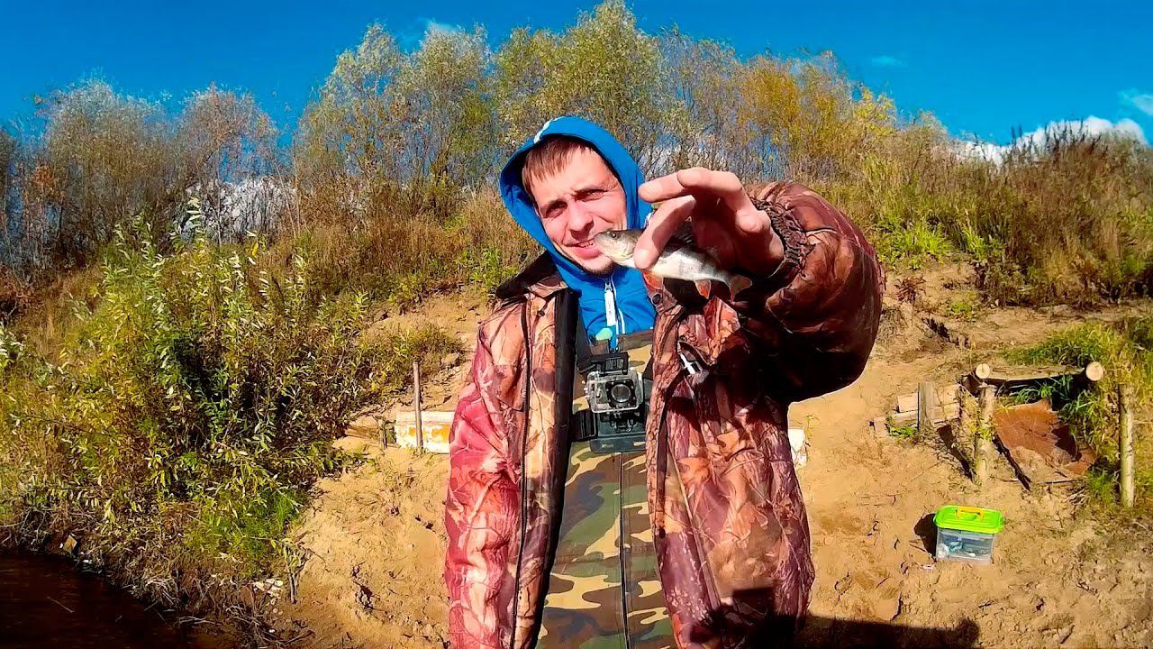 Октябрьская рыбалка на Оке. БЛП #Live, эпизод 4