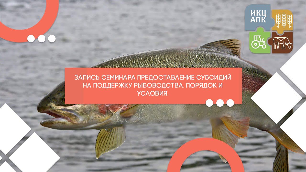 Запись вебинара от 31 августа 2021 года