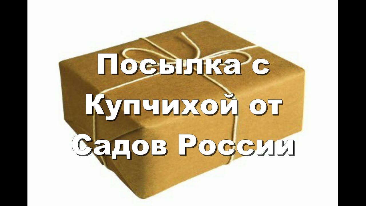 Посылка с Купчихой от Садов России