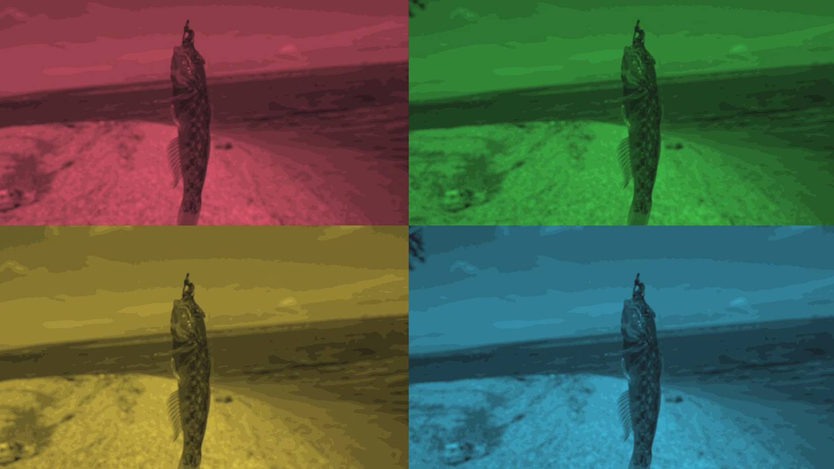 Радуга над Волгой