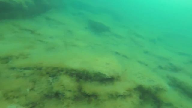 Дайвинг в Актау.