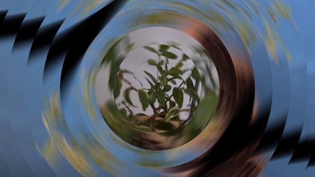 Гранд. Его больше нет. Запомним его таким.