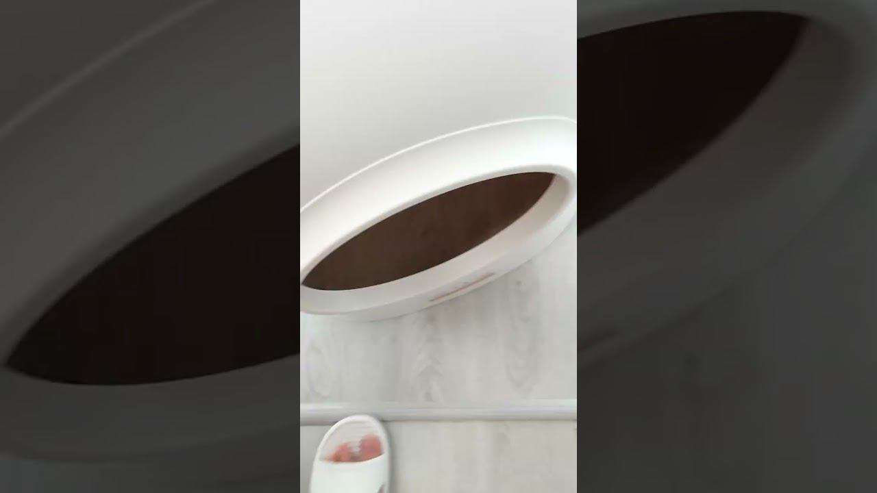 Моем кошачий автолоток PETREE 2 WIFI