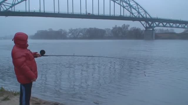 Катушка Нельма для чайников.