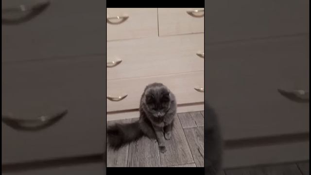 Чудик играет...