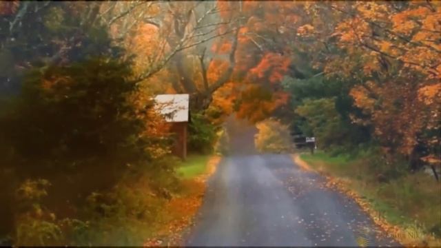 Осеннее настроение. Мелодия саксофона..mp4