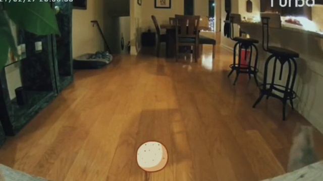 Животные под наблюдением