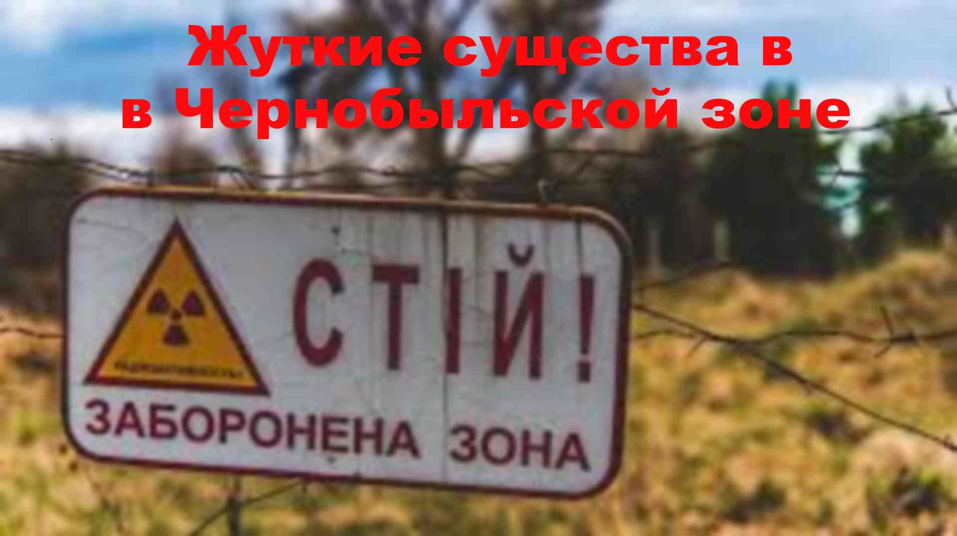 Жуткие существа, которых мы увидели в Чернобыльской зоне. Жуткие и страшные истории. Аудио рассказы.