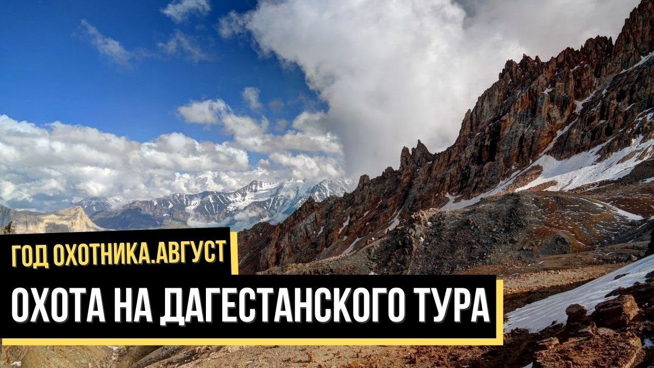 Охота на дагестанского тура / Год охотника / #5