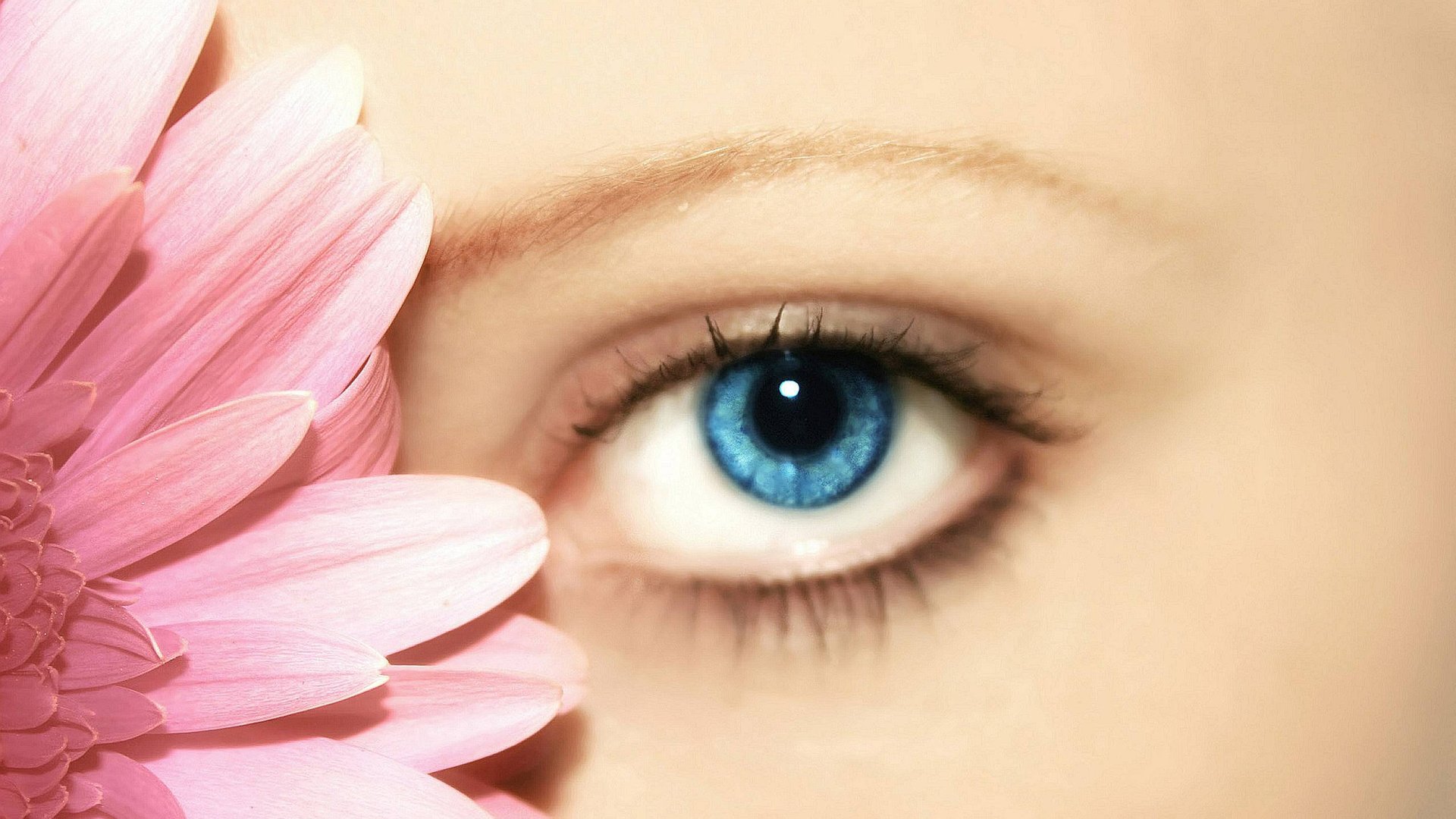 Pupo - Gelato Cioccolato